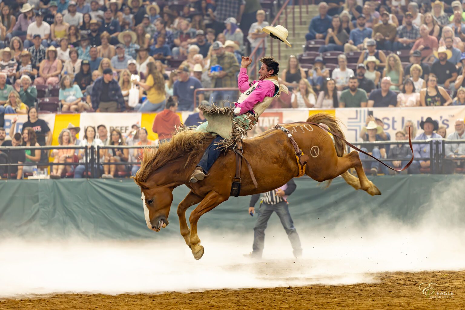 This picture won the 3rd place finish! - Eagle Photography LLC